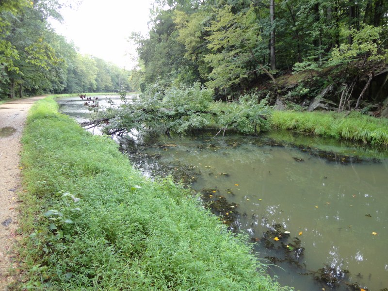 Chesapeake & Ohio Canal National Park - August 2012